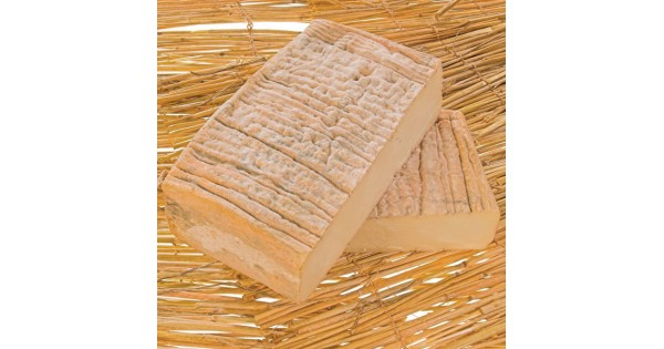 Taleggio