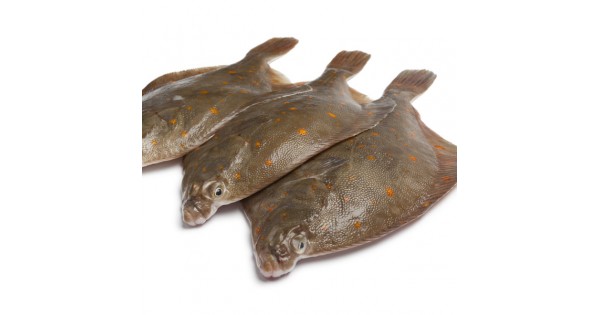 Plaice Whole - Fresh