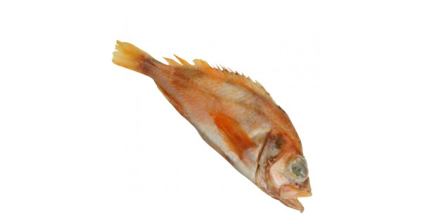 Red Fish (North Sea Red Bream) Whole
